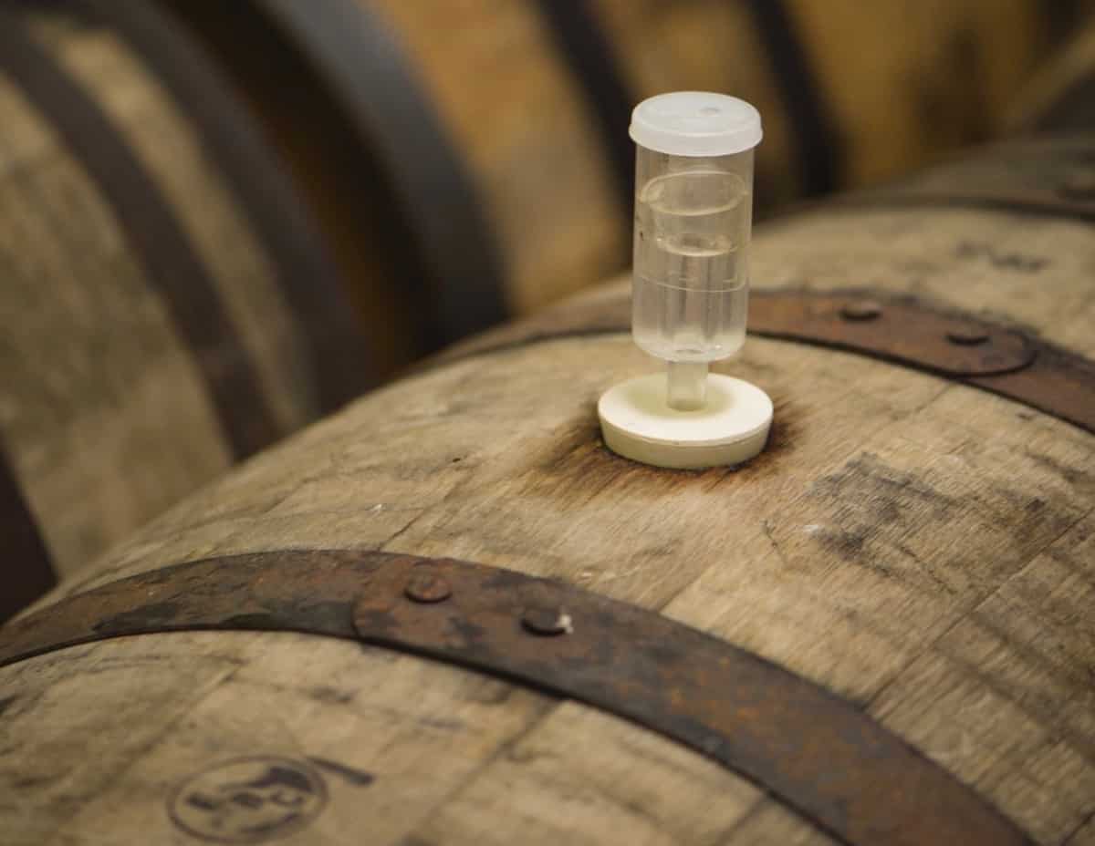 VIDEO: Cider Maker You Need to Know: Trevor Newman - Cider Culture