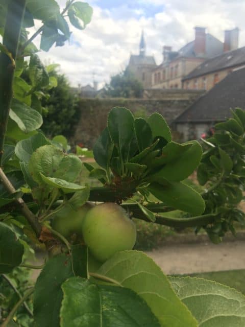Destination Cider: Normandy and the Tour de France - Cider Culture
