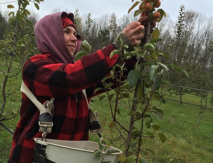 Finger Lakes Cider Boom Foremother: Autumn Stoscheck | New York Cider ...