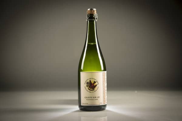 Playing the Long Game: The Maturation, Development and Evolution of ...