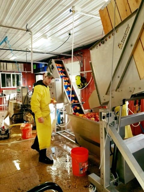 Cider-Pressing Equipment: A History | Juicing.Systems Mobile Cider Pressing