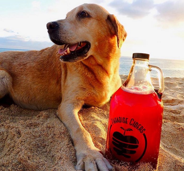 Paradise Ciders — Hawaii's First Cider Company — Is Now Open