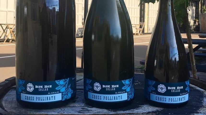 Collabo to Know: Blue Bee Cider X The Veil Brewing Co. Cross Pollinate