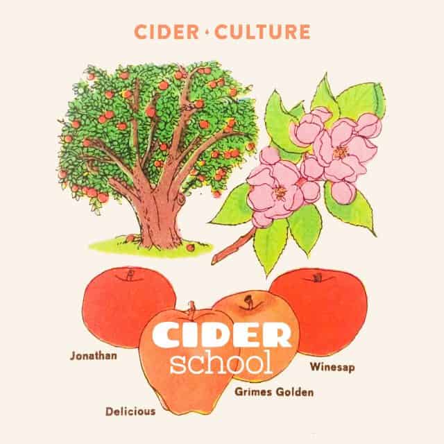 Cider School - Cider Culture