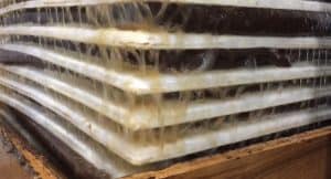 Cider Education: Fermentation 101 | How Fermentation Works in Cider