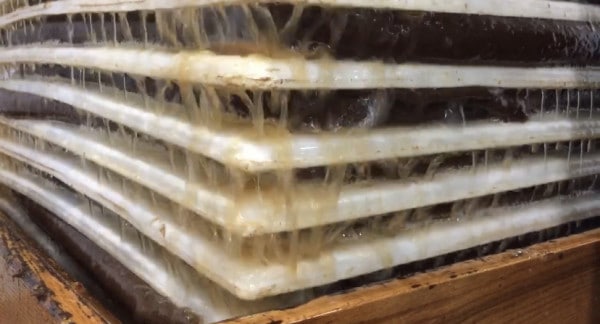Cider Education: Fermentation 101 | How Fermentation Works in Cider