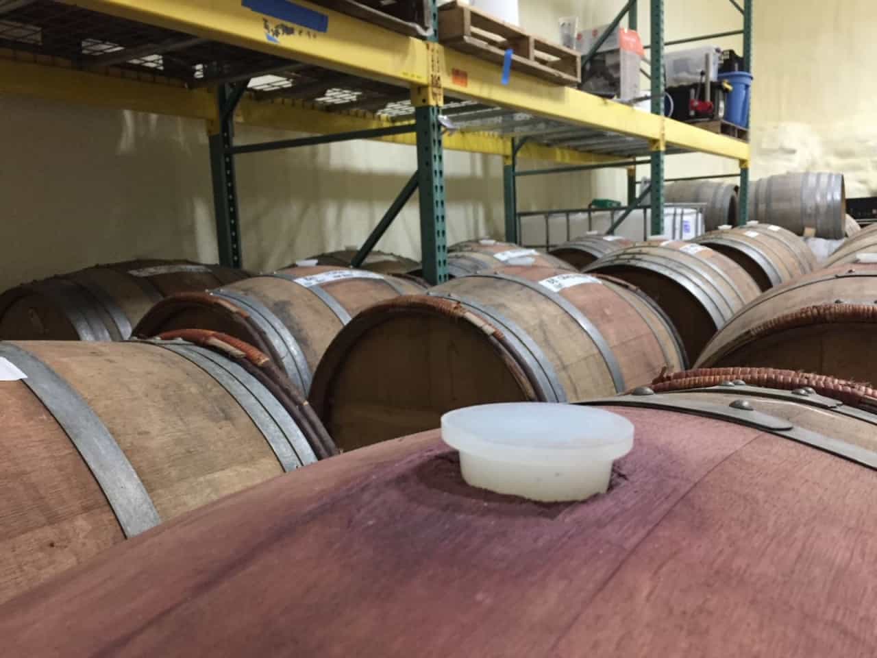 Cider Education: Fermentation 101 | How Fermentation Works in Cider