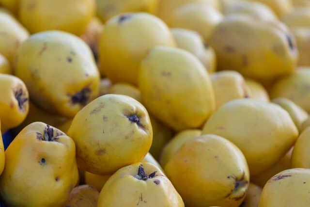 7 Quince Ciders to Try - Cider Culture