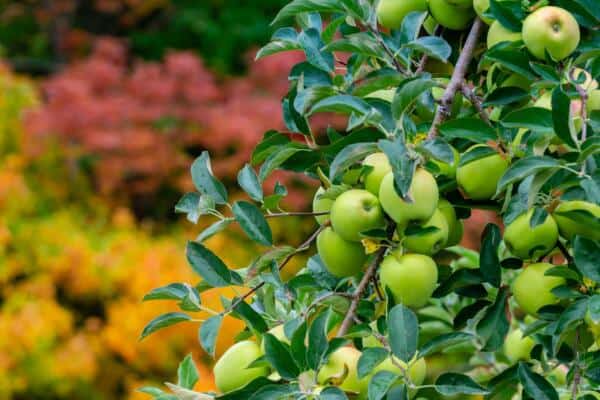 Cider Travels: Drinking Cider in the Finger Lakes Region of NY - Cider ...