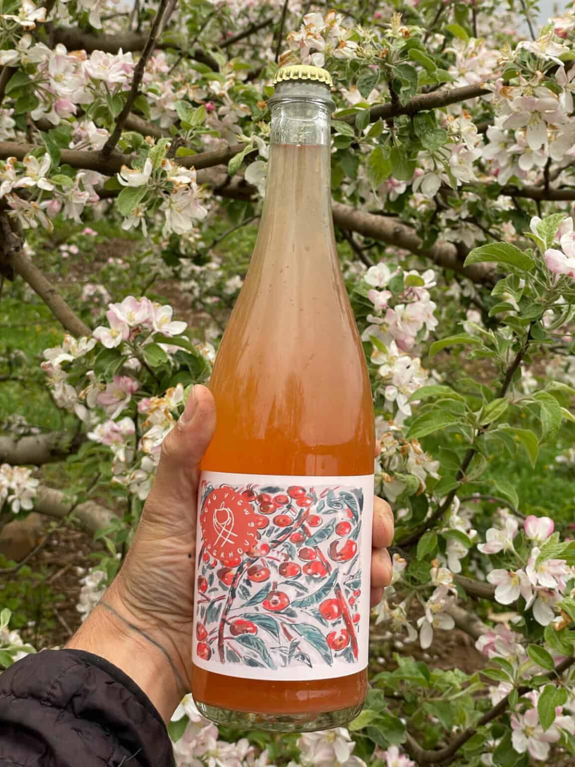 30 Unique Summer Ciders From Across the USA
